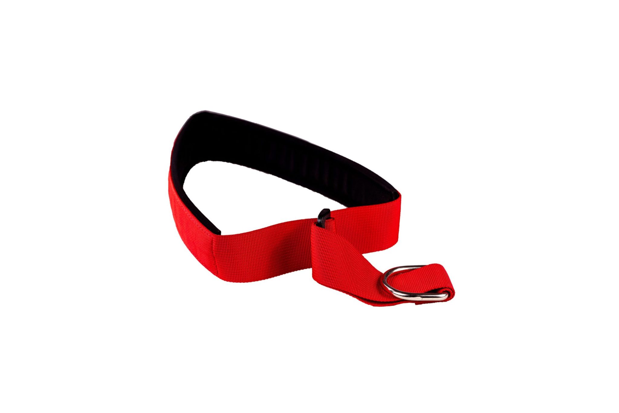 Desmotec thigh belt - Bestel online bij Gymna Nederland